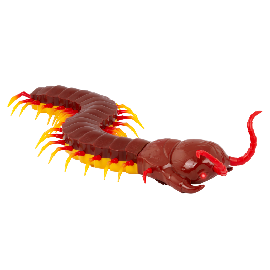 Giant Scolopendra Terra By Battat