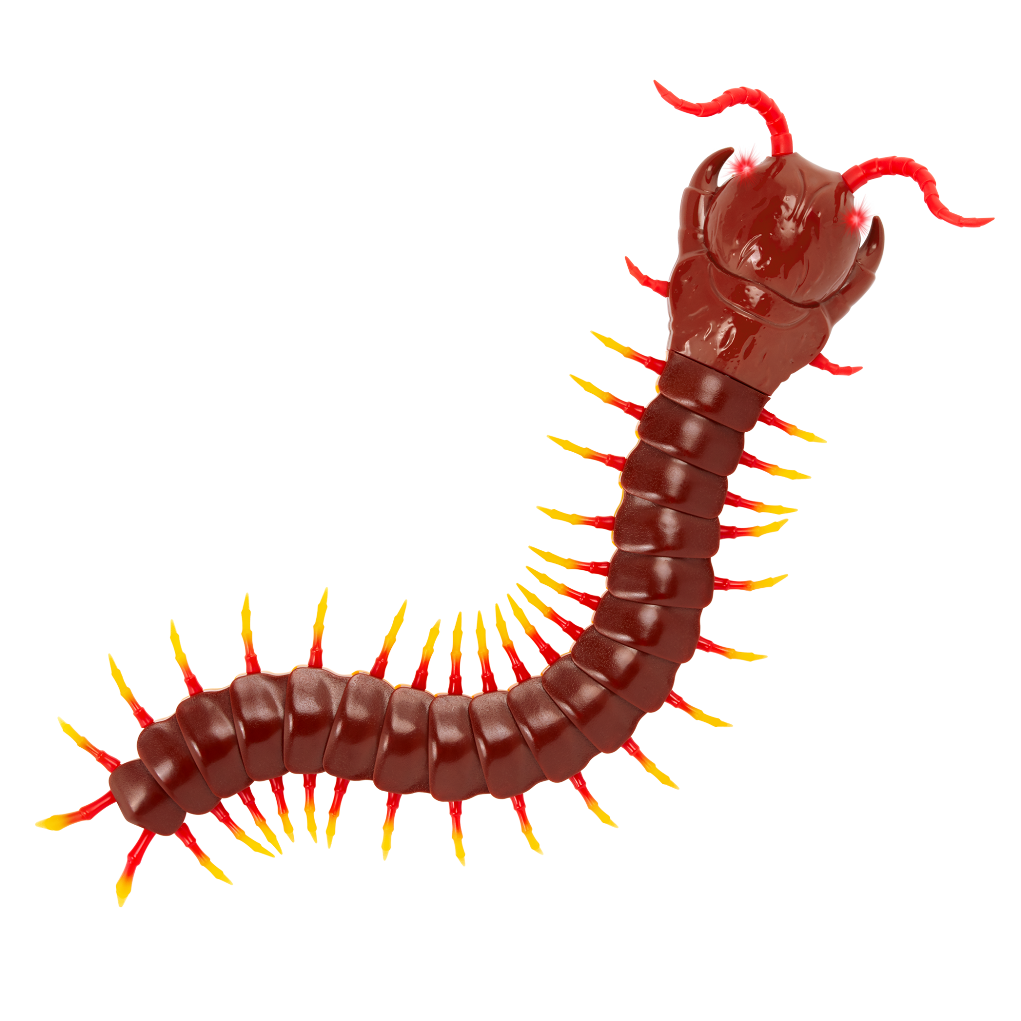 Giant Scolopendra – Terra by Battat