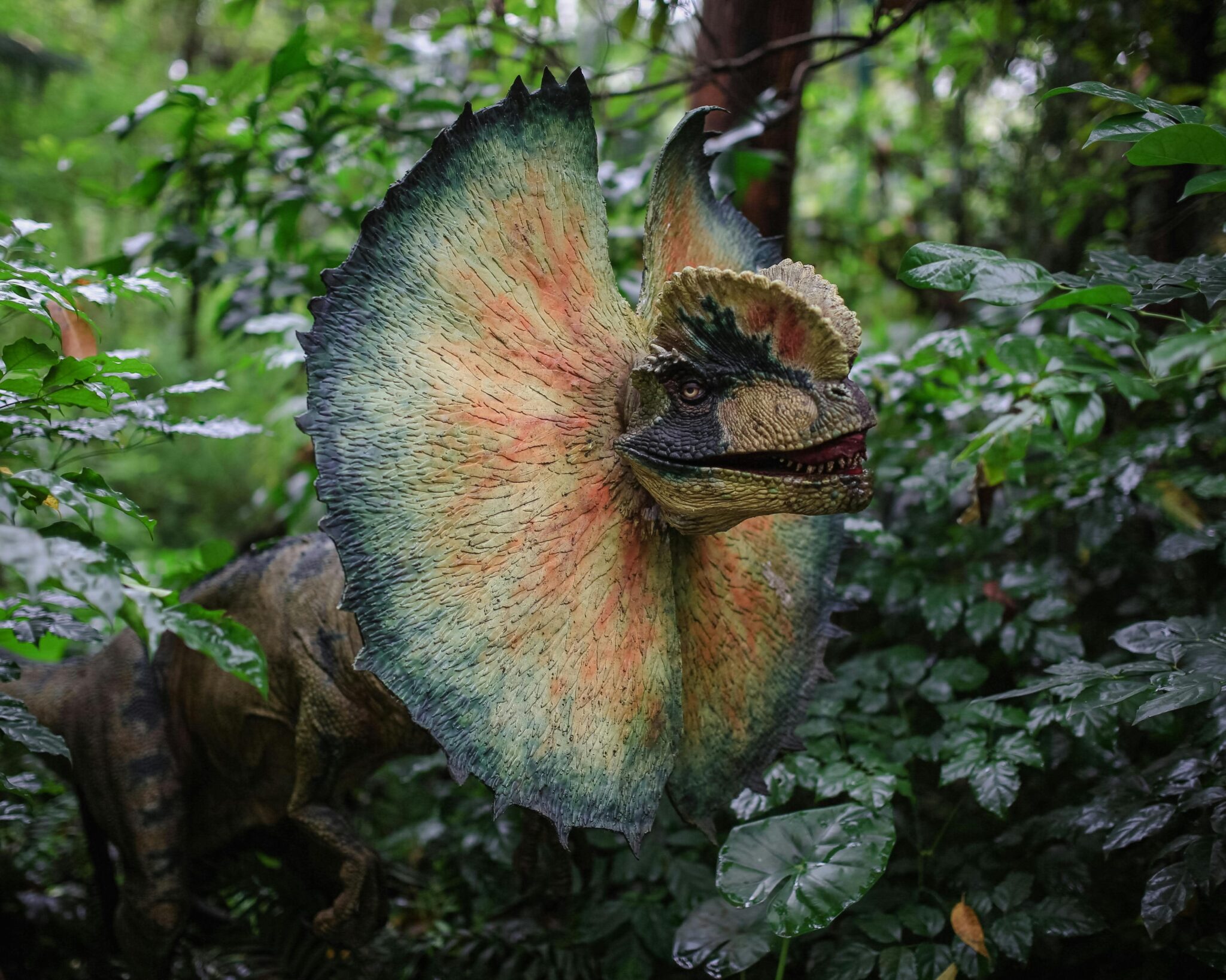 Fun Facts About Dilophosaurus, Fun Dinosaur Facts | Terra