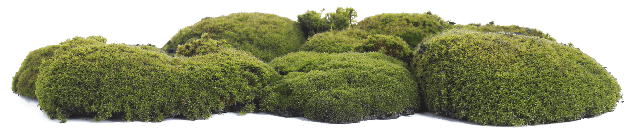 Terra By Battat | Animal Toys, Dinosaur Toys, Toddler Toys & Playsets